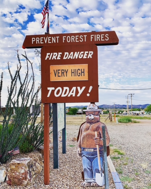 Fire Danger | Arizona Kate